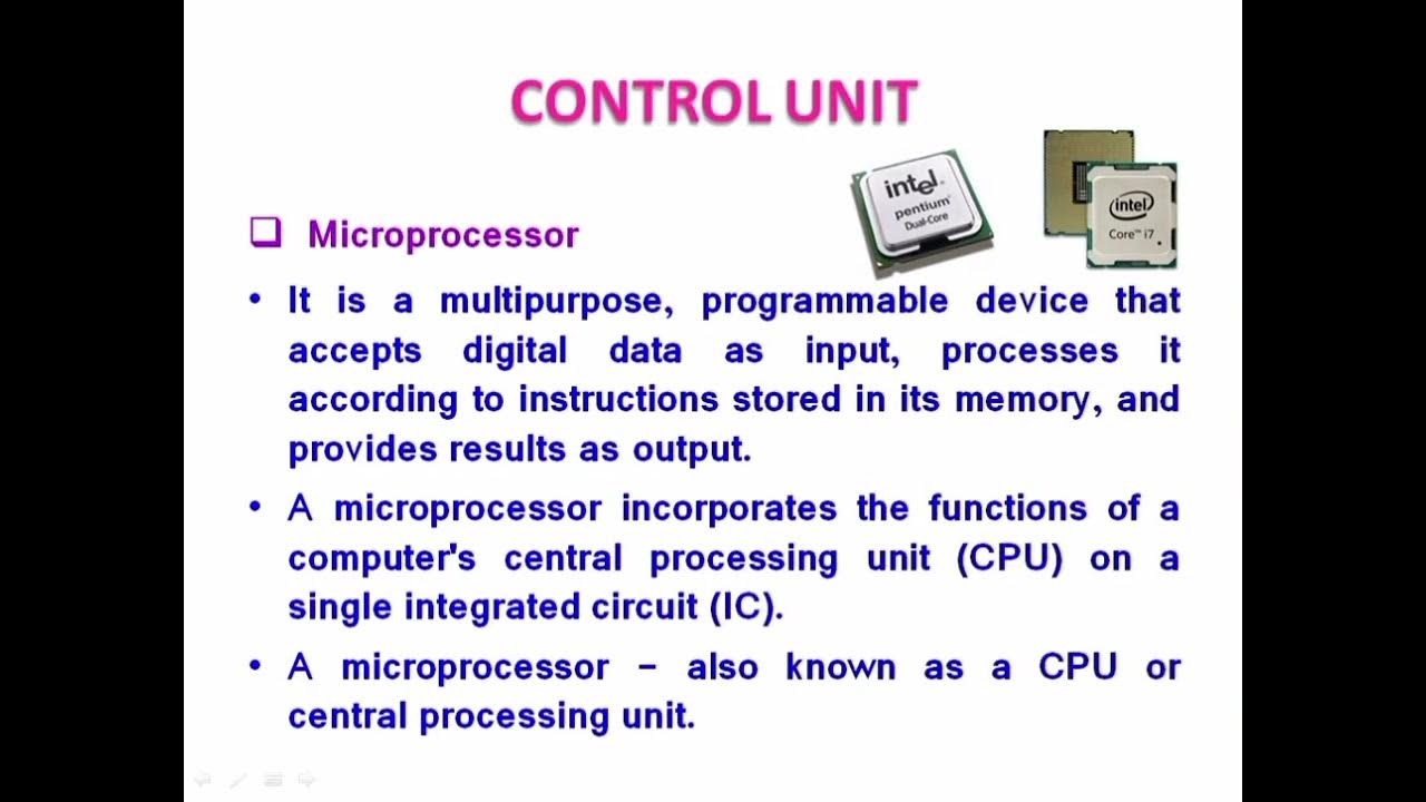 Central Processing Unit (CPU) | Introduction to Computer Basic - YouTube
