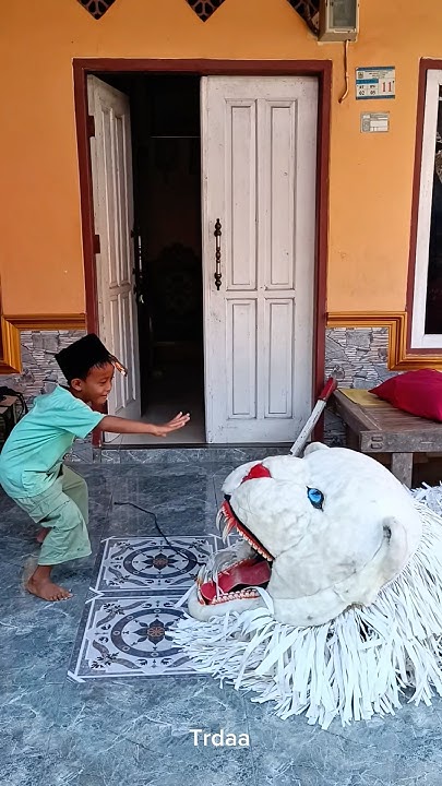 Keluar dari rumah malah dimakan can macanan - YouTube