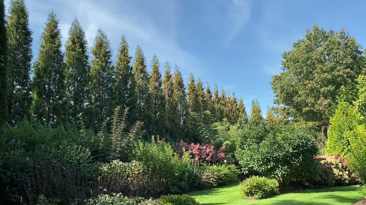 Full Speed A Hedge American Pillar - YouTube