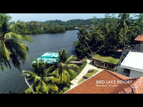 Bird Lake Resort - Hikkaduwa Sri Lanka - YouTube