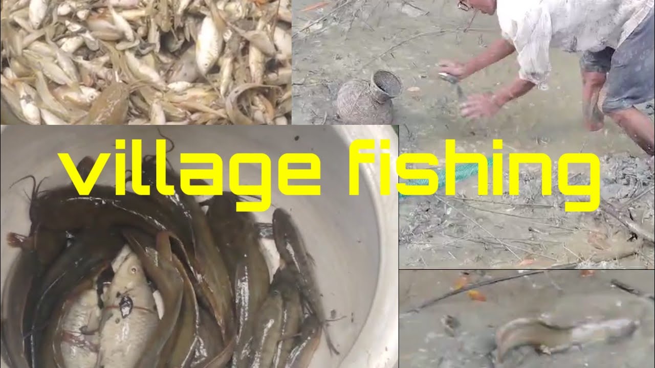 Best Fishing Video || Amazing Village fishing,Catch A Lot Of Fish ||🐟 ...