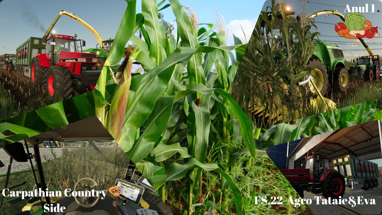 #FS22 #002/Cab View Case IH 7150 (facem siloz) Carpathian Countryside/ULTRA REALISTIC/ - YouTube