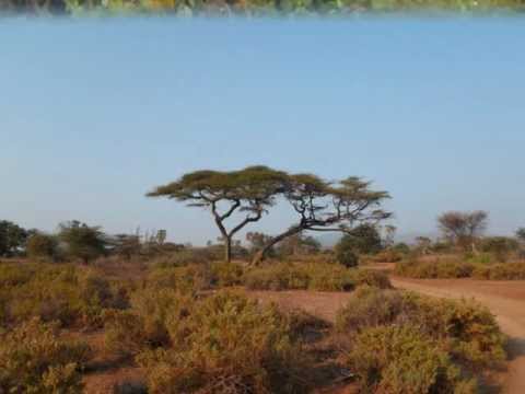 Viaje a Kenia Paco y Maite 2
