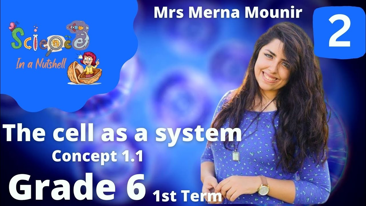 Science-Grade 6-unit 1-concept 1- Video 2 - rest of lesson 1 - YouTube