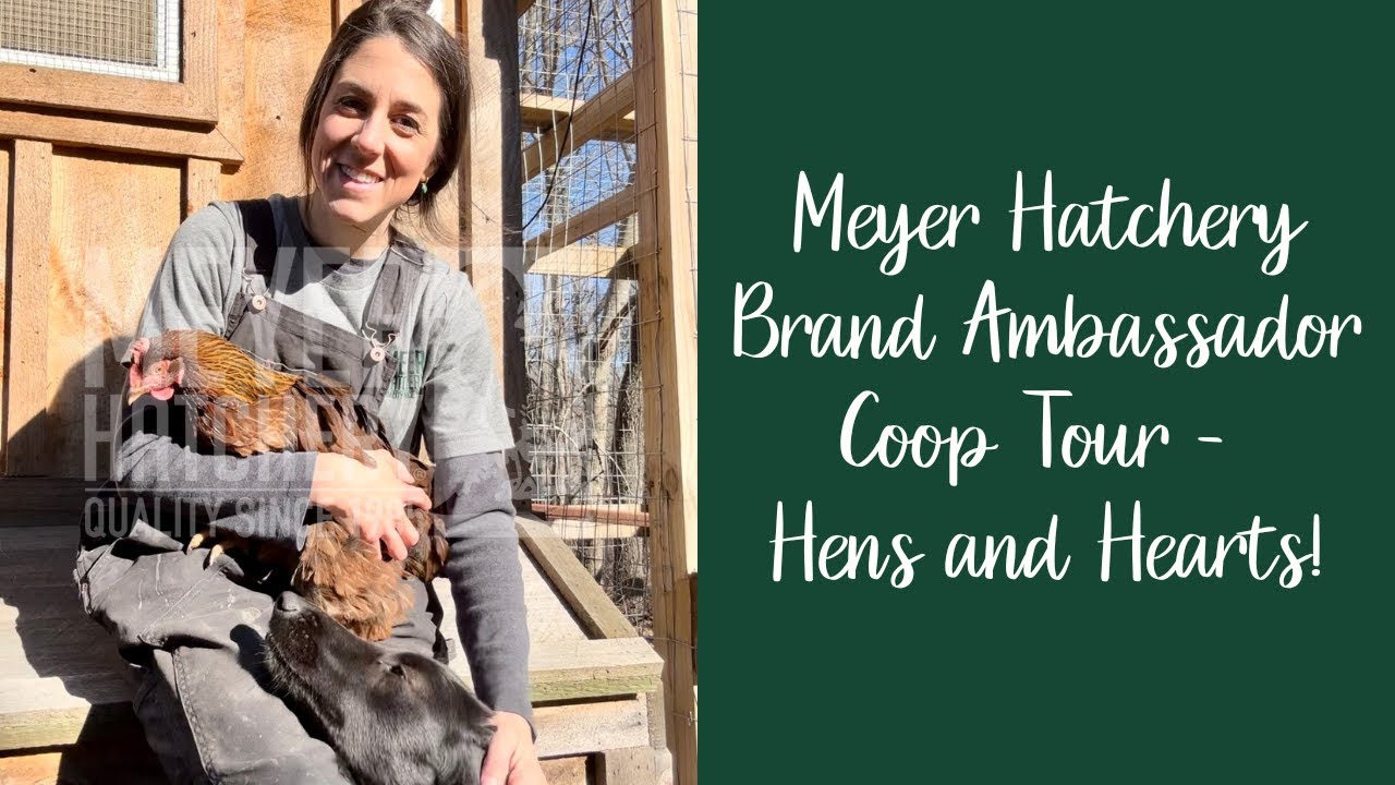 Meyer Hatchery Brand Ambassador Coop Tour - Hens and Hearts! - YouTube