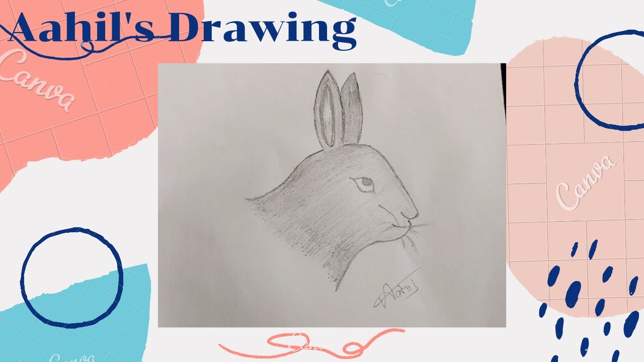 Shading of a Rabbit face/Aahil drawing/easy drawing/step by step - YouTube