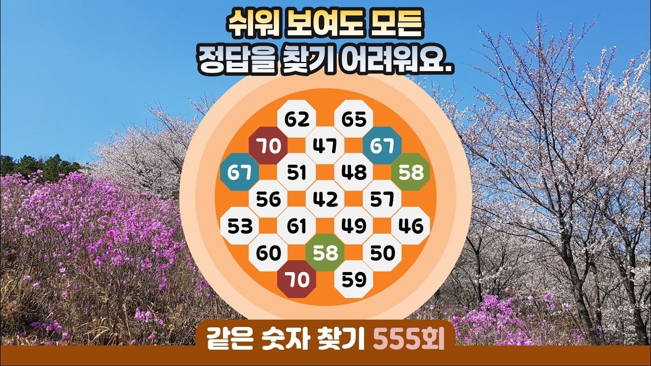 같은숫자찾기 555회 쉬워 보여도 모든 정답을 찾기 어려워요 같은숫자찾기 퀴즈 치매예방퀴즈 두뇌활성화 Number Search Quiz 脳トレ 数字探し