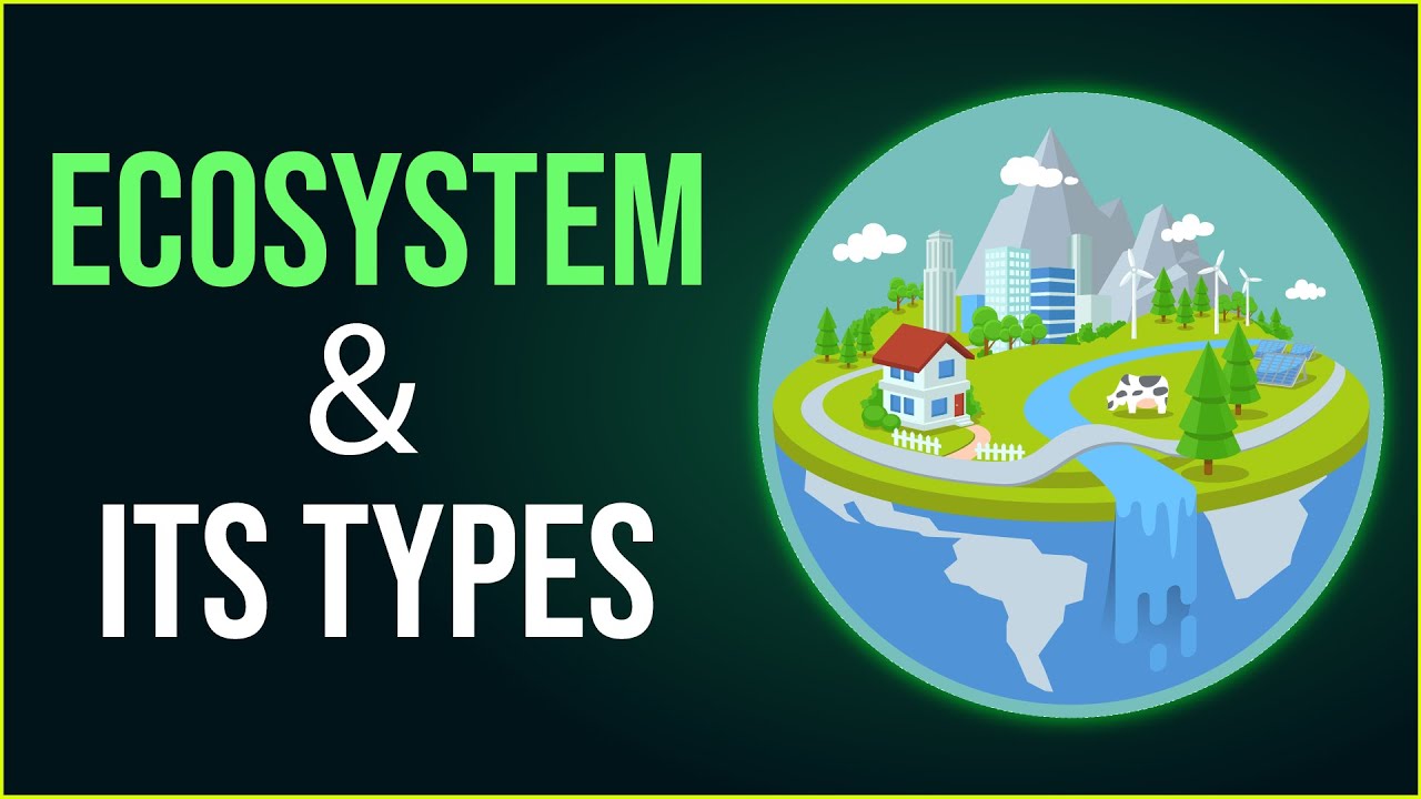 DOWNLOAD What Is An Ecosystem Mp4 MP3 3gp NaijaGreenMovies download-what-is-an-ecosystem-mp4-mp3-3gp-naijagreenmovies