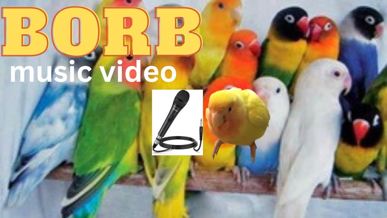 MC Peacho - BORB (Official music video) - YouTube