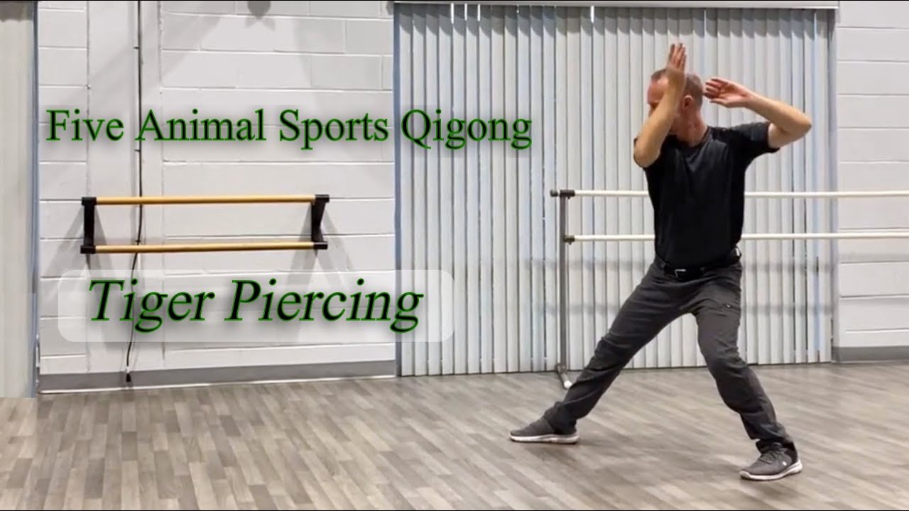 Five Animal Sports Qigong - Tiger Piercing - YouTube