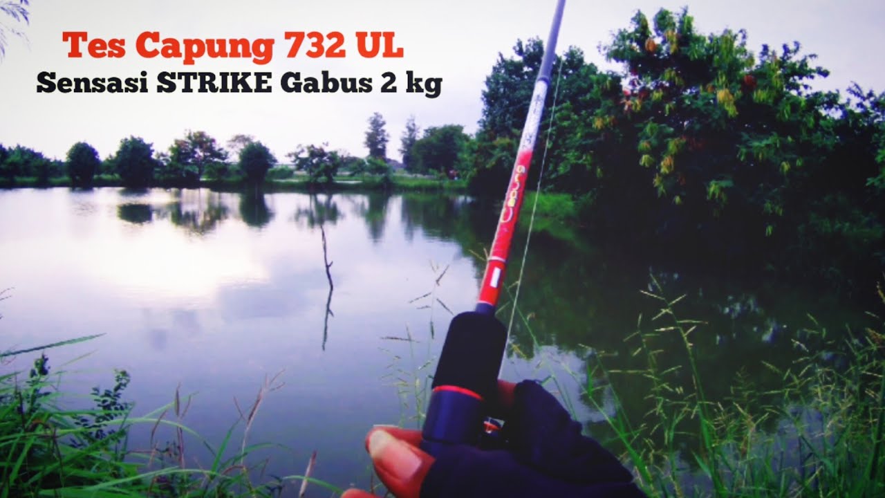 Joran Pancing Casting Capung 732 UL | Budz Official | Relix Nusantara ...