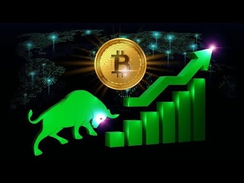 Bitcoin compilation Video. - YouTube
