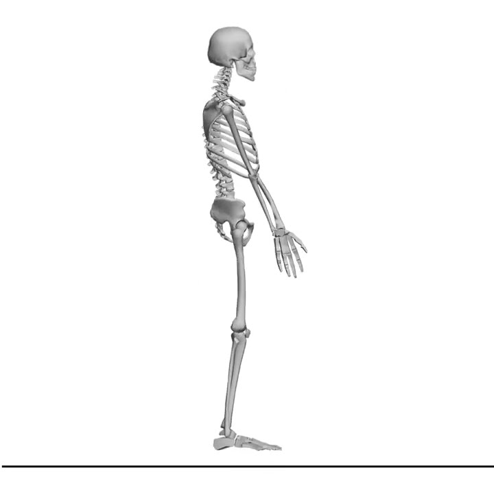 Brian Burke's Skeleton Squat Jump Animation - YouTube