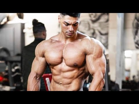 ANDREI DEIU #Aestheticbodybuilding #Bodybuildingmotivation - YouTube