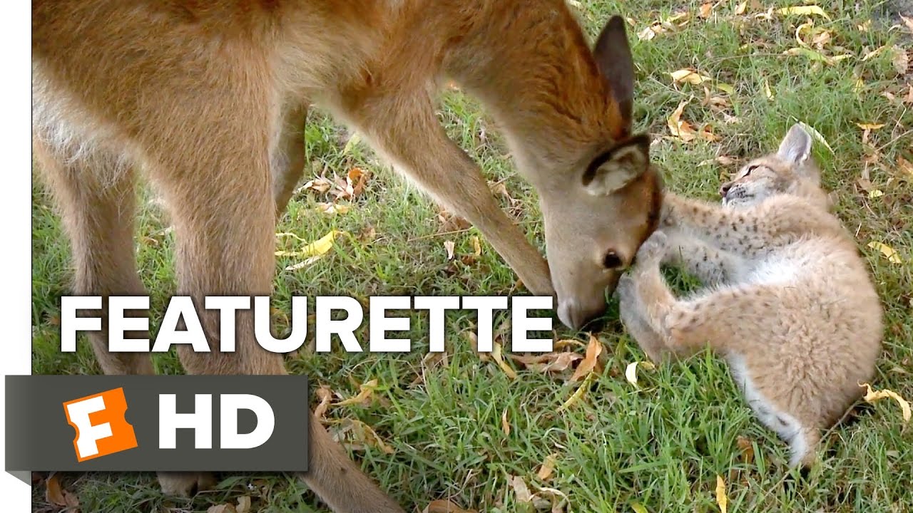 Seasons Featurette - Immersed in Nature (2016) - Documentary - YouTube