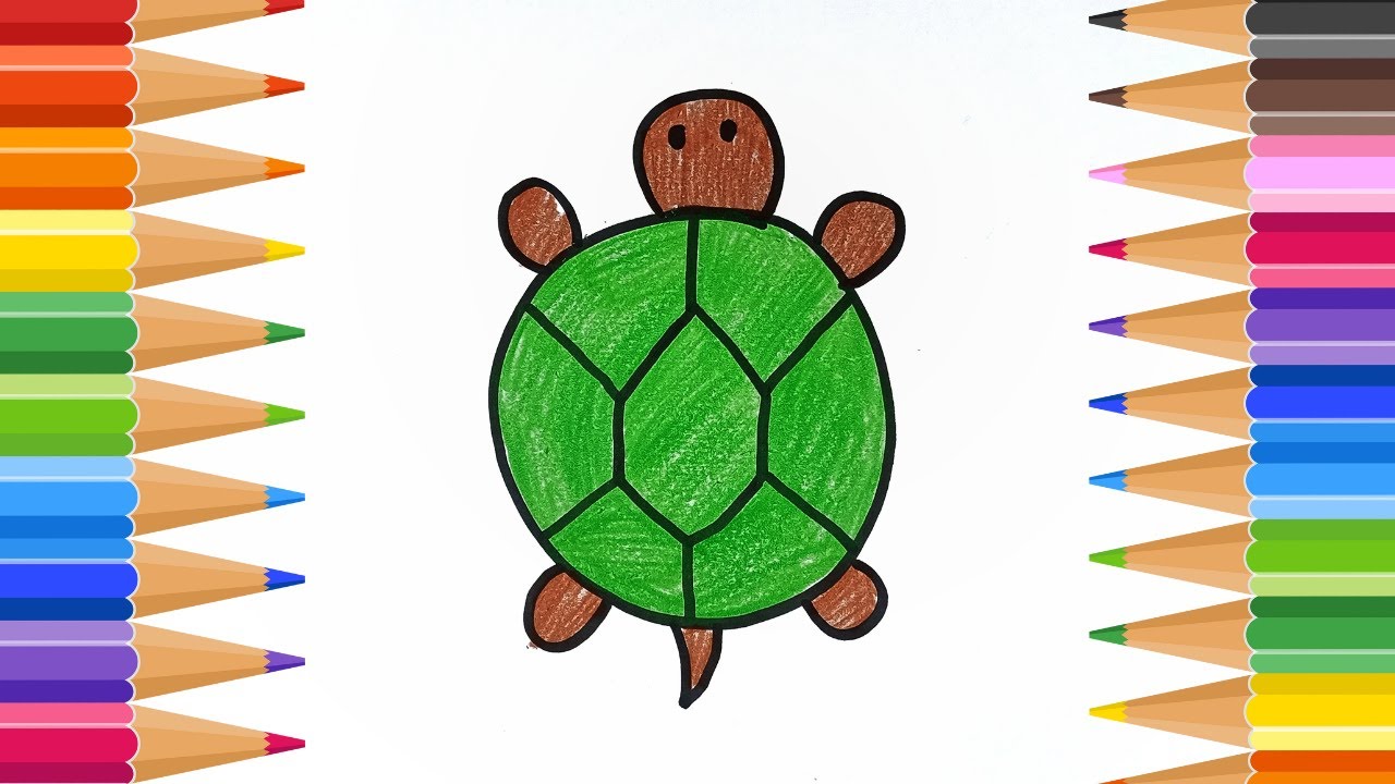 How to draw tortoise | Easy Tortoise drawing | Tortoise drawing for ...