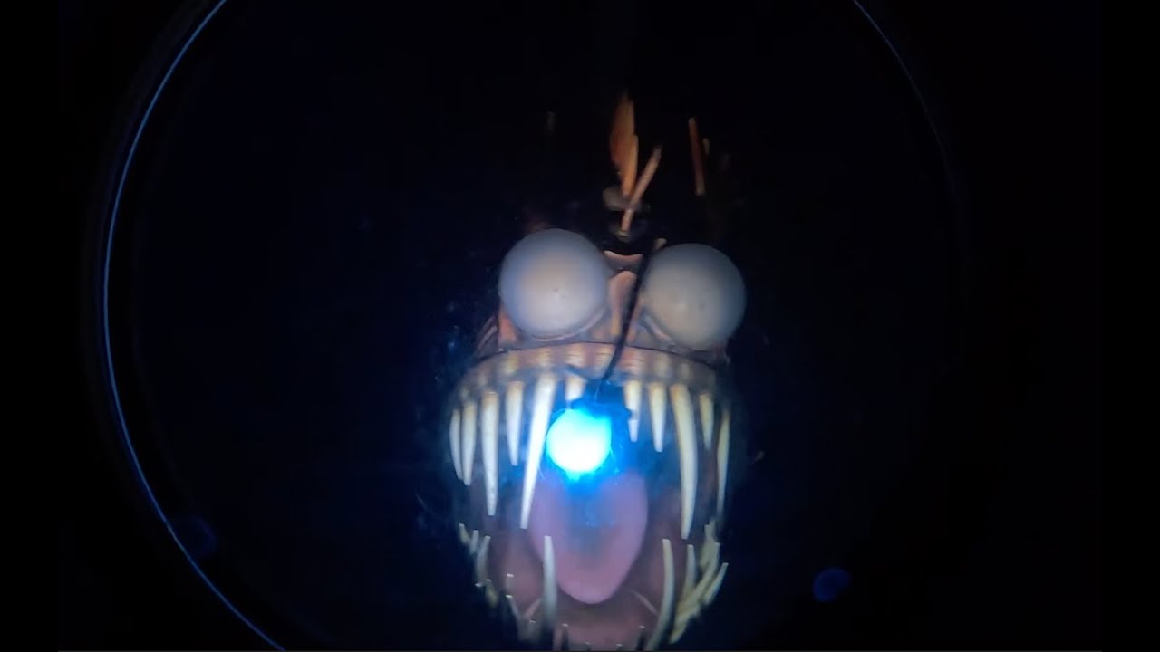FInding Nemo Submarine Voyage - YouTube
