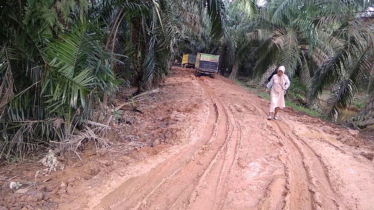 Jalan pulau Rimau Banyuasin .prihatin!!! - YouTube