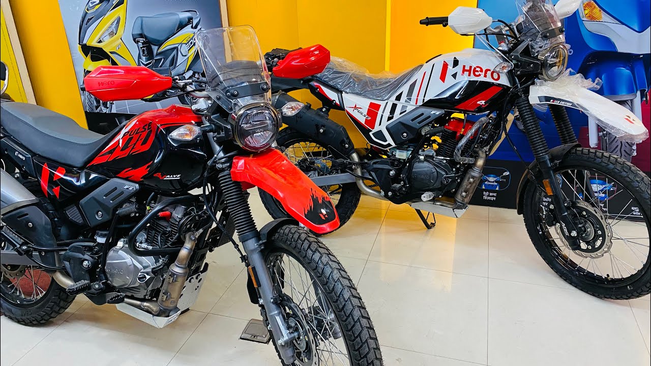 15k Extra For Rally Edition Is It Worth | XPulse 200 4v vs XPulse Rally ...