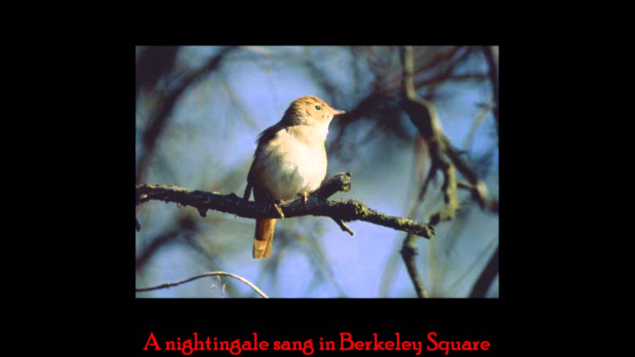 Bobby Darin A Nightingale Sang In Berkeley Square With Lyrics - YouTube ...