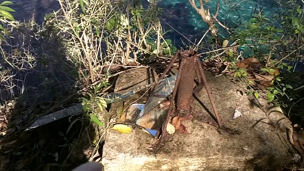 There are no Forests on Flat Earth - A must watch - YouTube