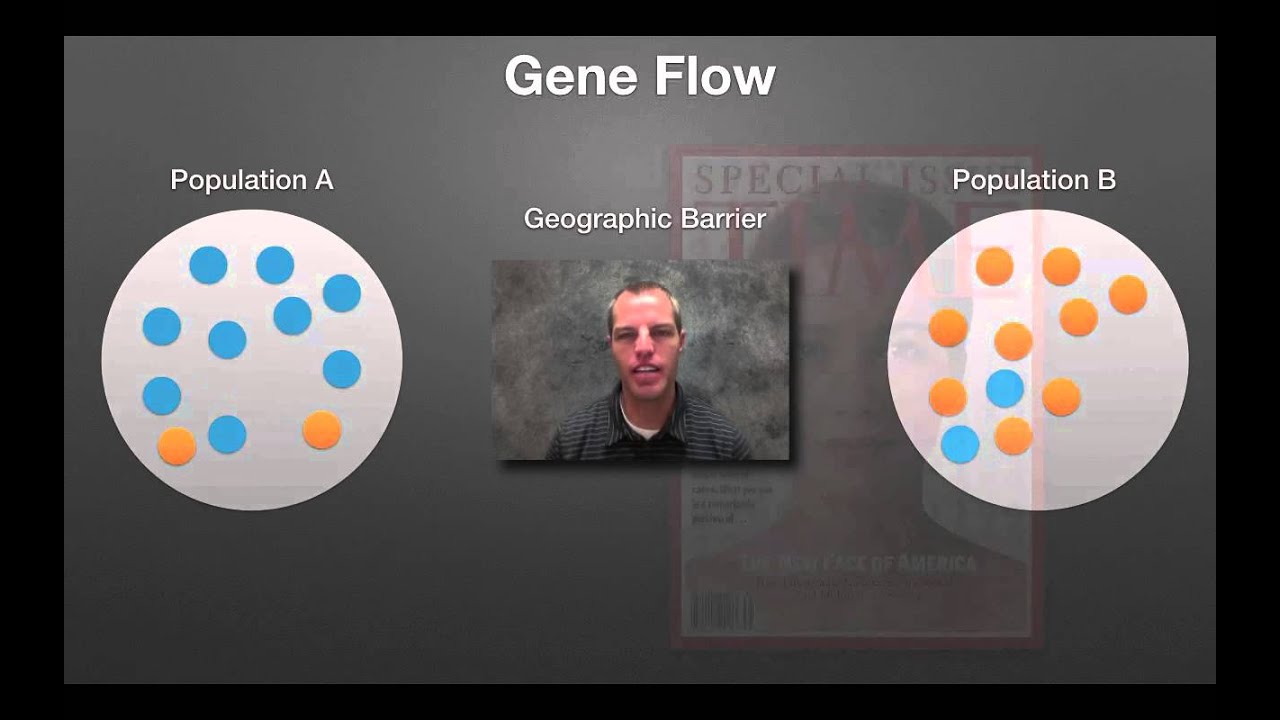 Mechanisms Of Evolutionary Change - YouTube