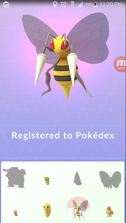 Pokemon GO live Evolution Kakuna to Beedrill - YouTube