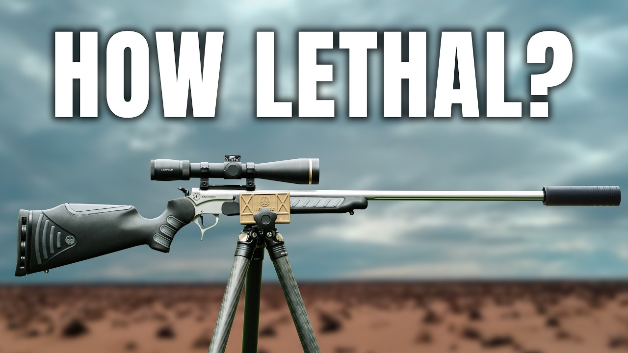 How Lethal is the 6.5 Creedmoor? - YouTube