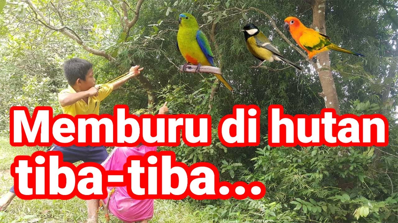 Memburu Di hutan TETAPI lain yang jadi - YouTube