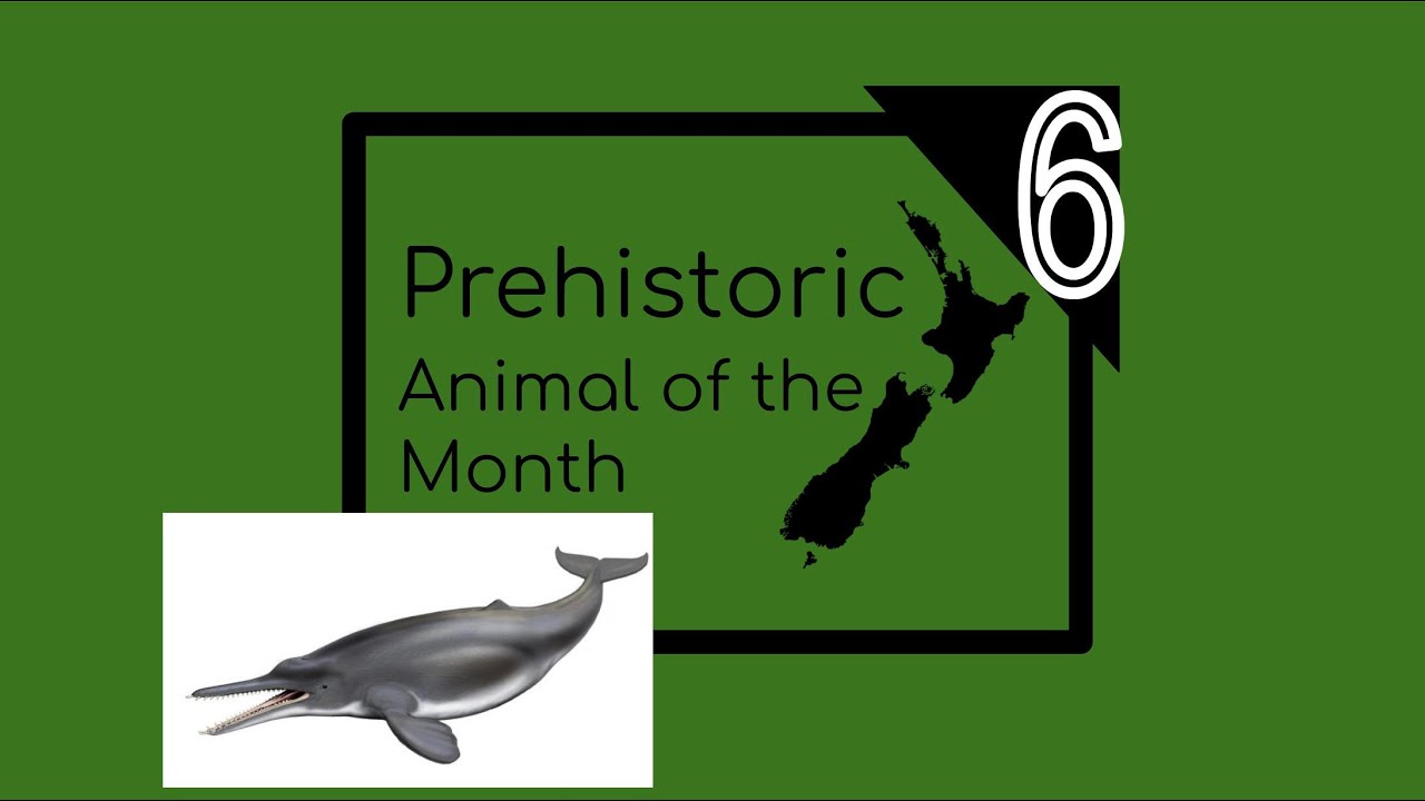 Prehistoric New Zealand - Prehistoric Animal of the Month Episode 6 ...