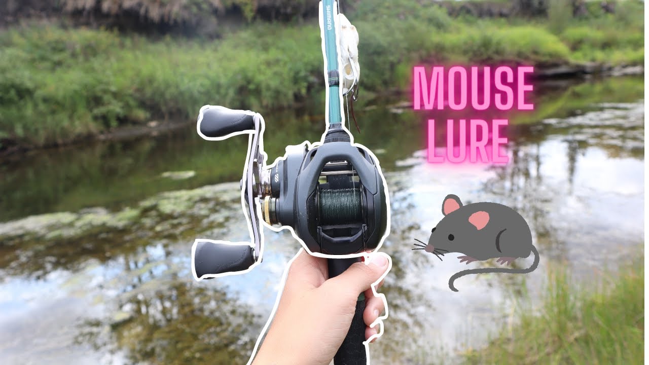 trying the most interesting fish hook i could find. a mouse! - YouTube