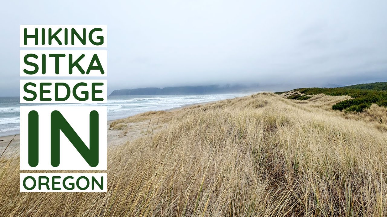 Virtual Hike at Sitka Sedge State Natural Area in Oregon - YouTube