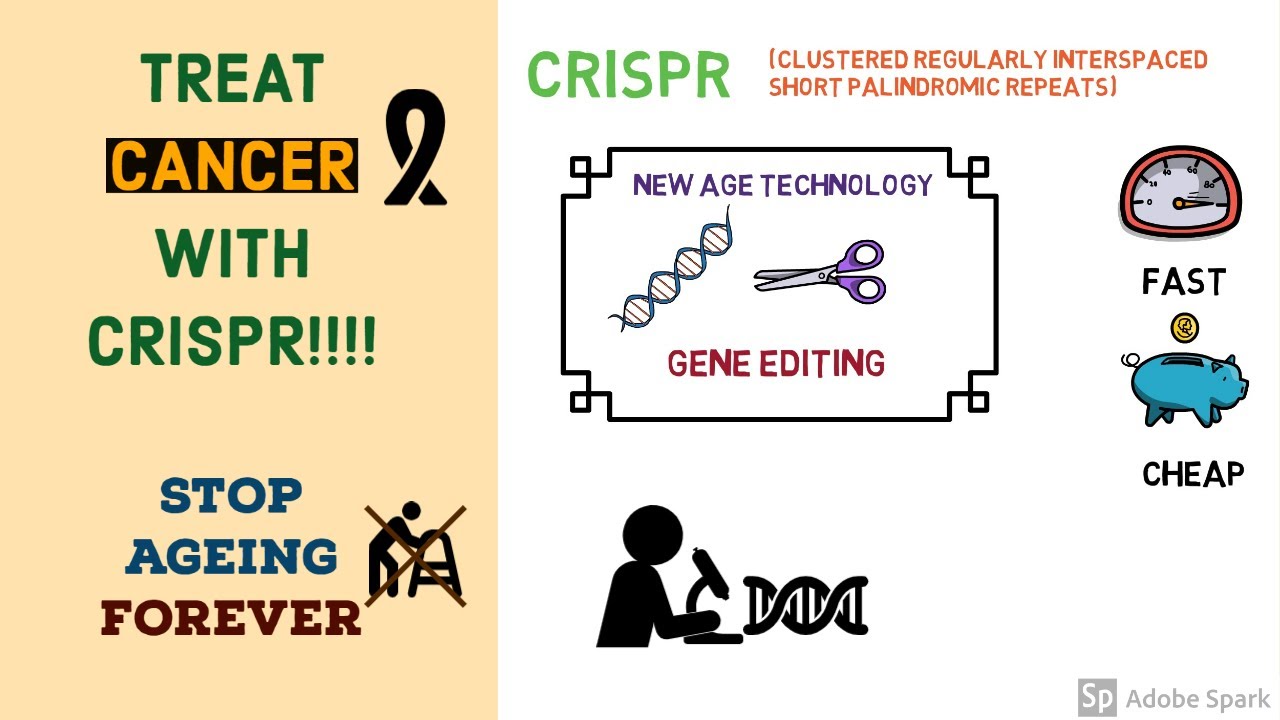Treat cancer forever!!! CRISPR the new gene editing technology.MUST ...