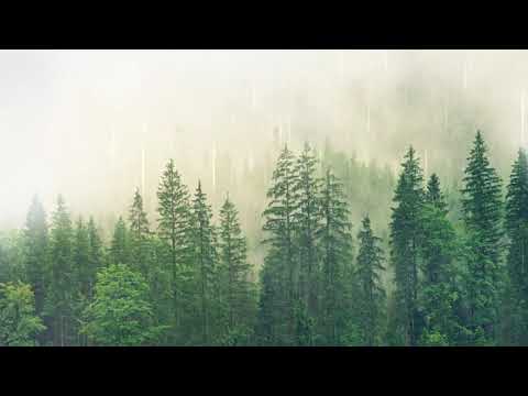 Telifsiz Doğa Müzikleri, Telifsiz Doğa Videoları, Telifsiz Fon Müzikleri