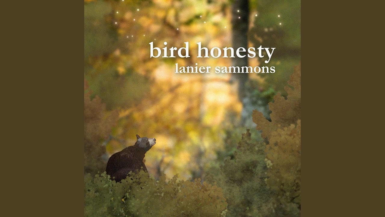 Bird Honesty - YouTube