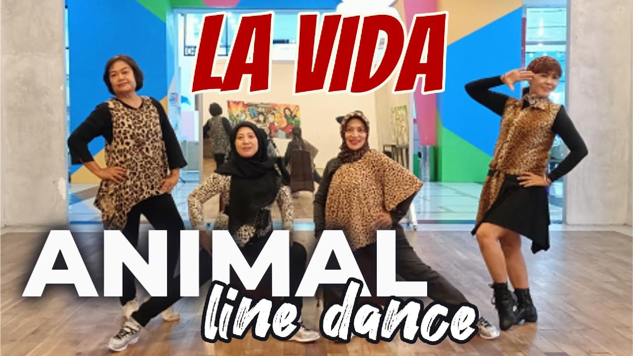 ANIMAL | Line Dance | LA VIDA | Choreo : Joyce Brasche (DE) | R3HAB ...