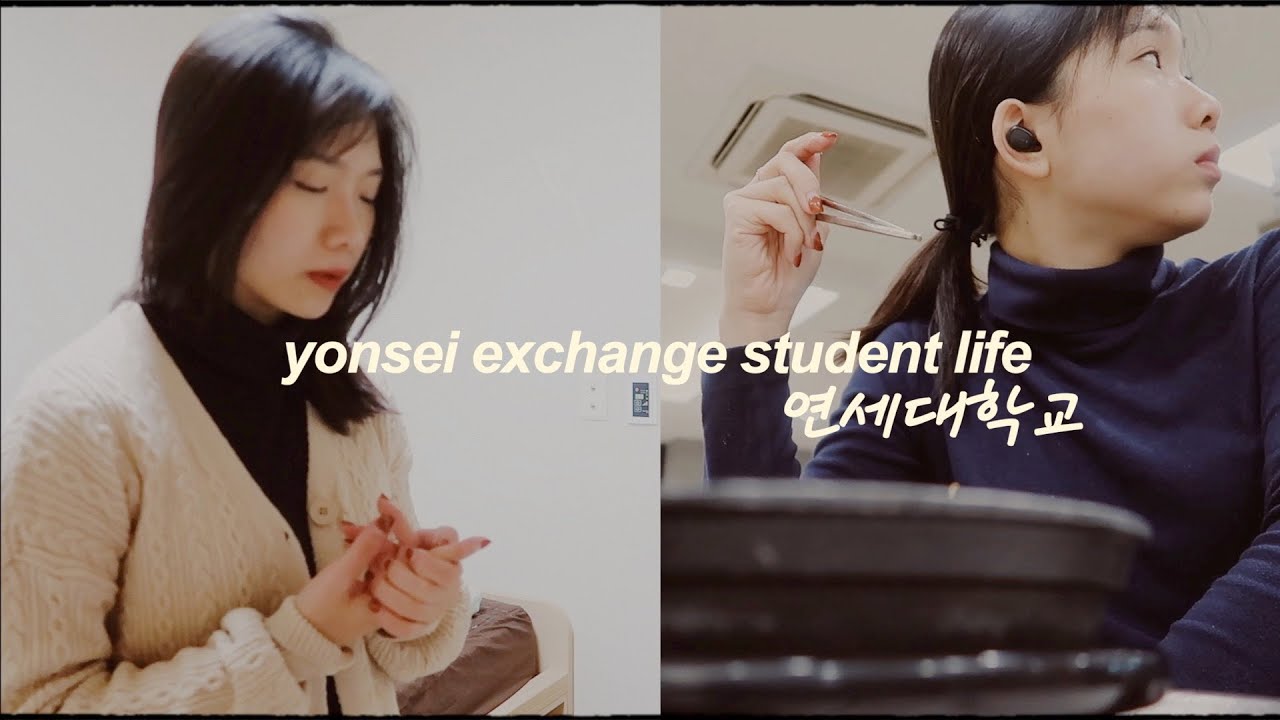 Yonsei University Exchange Student Life, Yonsei Library & Cafes in ...