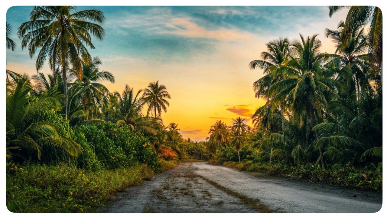 Best slow and calm (NO Copyright) background music for videos - YouTube