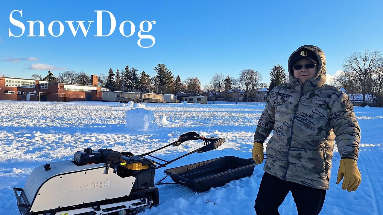 Snowdog on Snow - YouTube