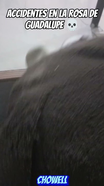 XD #shorts #viral - YouTube