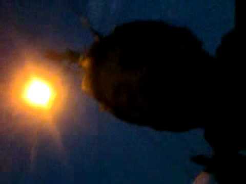 Escolinha LLC - Beatrizzzzzzzz ( Gostosa ) kkkkkkk