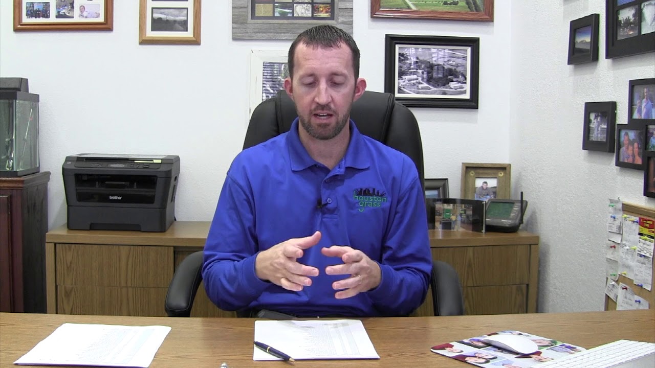 What Are Bermuda Grass Sprigs - Houston Katy Pearland - YouTube