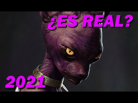 Que Pasaría Si Bills Existiese En La Vida Real??? - Por SonGohan22 ...