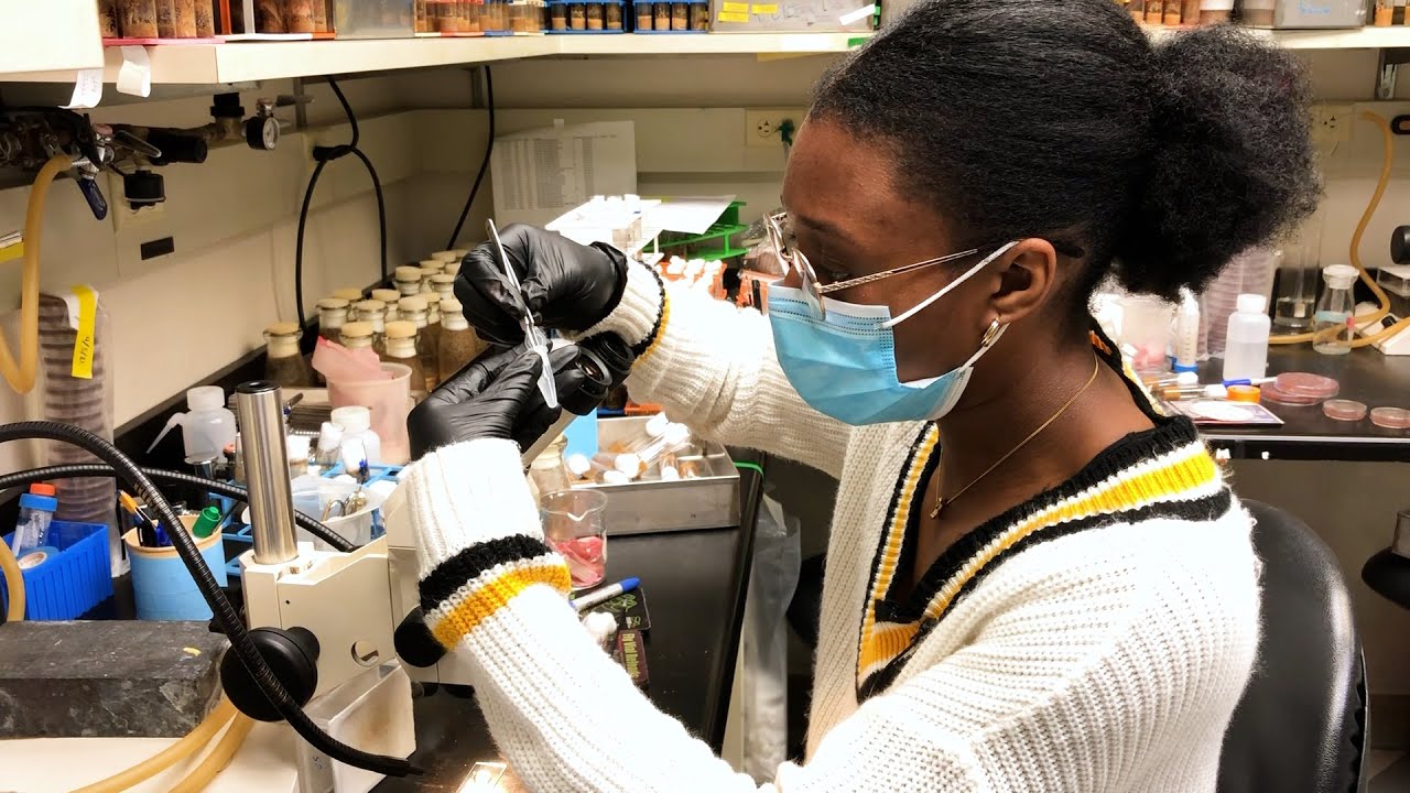 Hutch@Home Virtual Field Trip: The Susan Parkhurst Lab - YouTube