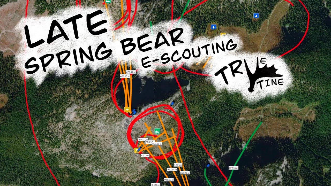 British Columbia E-Scouting - Late Spring Bears 2024 - YouTube