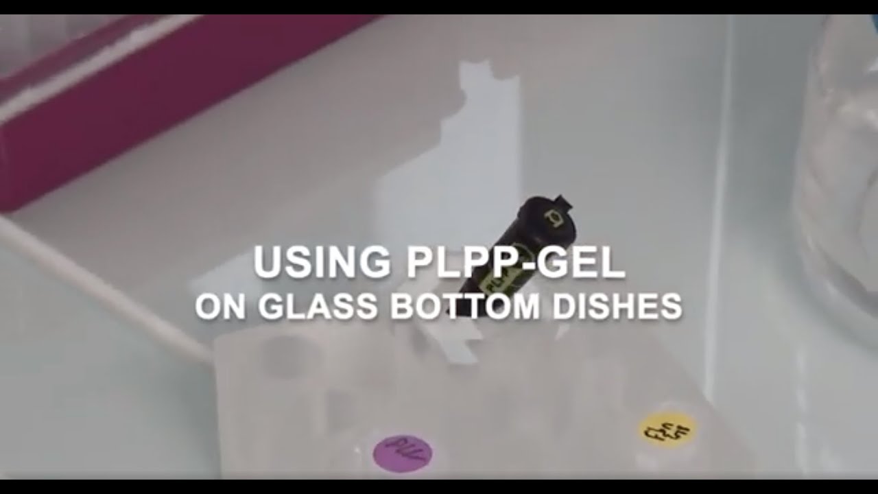 Tutorial video: NEW PLPP Gel on glass bottom dishes - YouTube