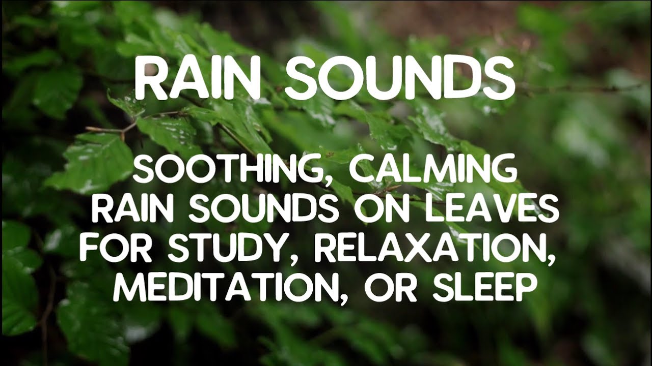 Rain Sounds for Study, Relaxation, Sleep, Meditation | Calming ...