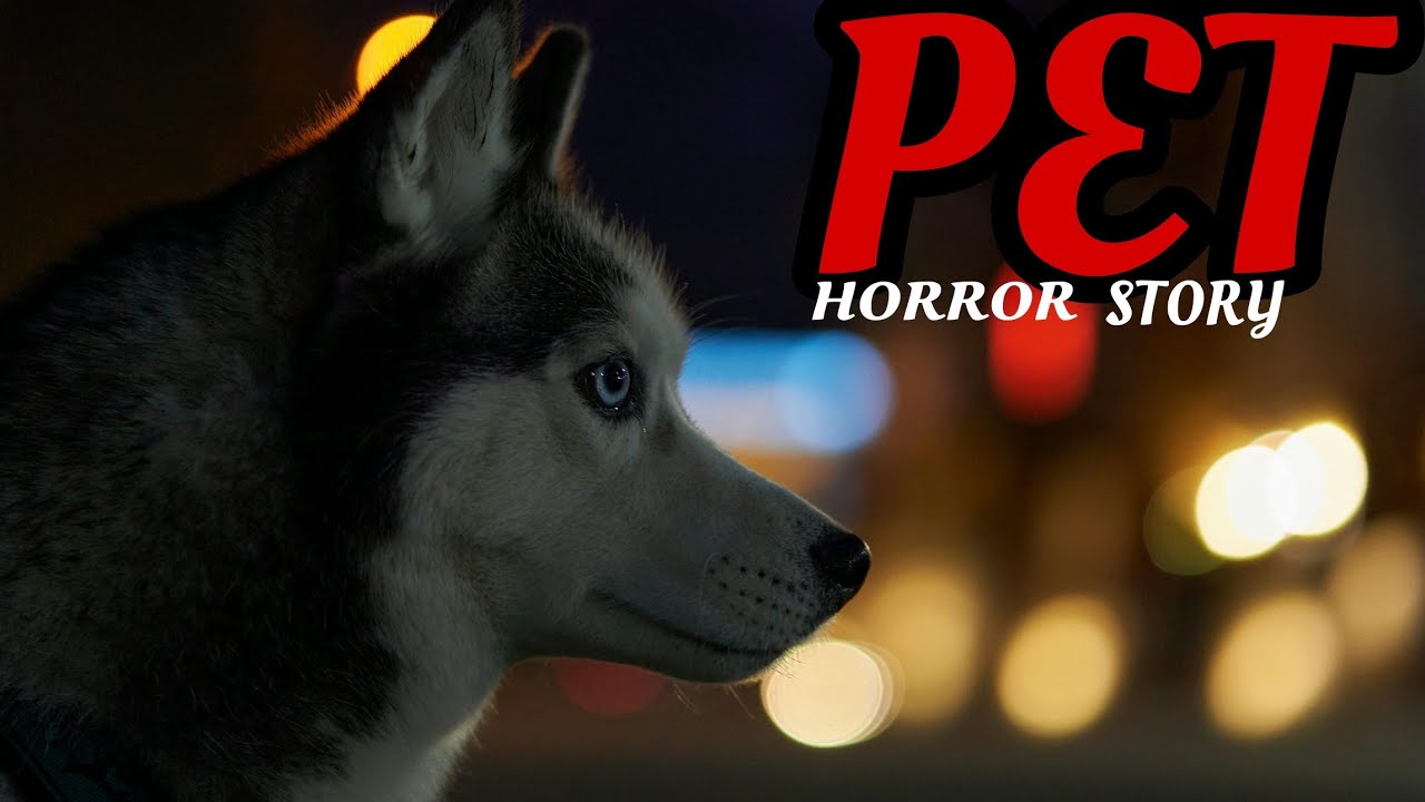 3 Unnerving True Pet Horror Stories - YouTube