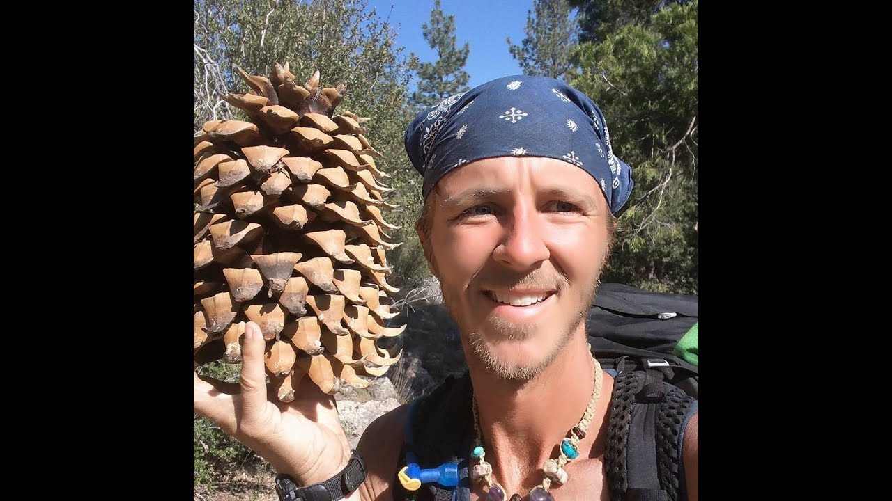 Kristopher Fowler AKA Sherpa - YouTube