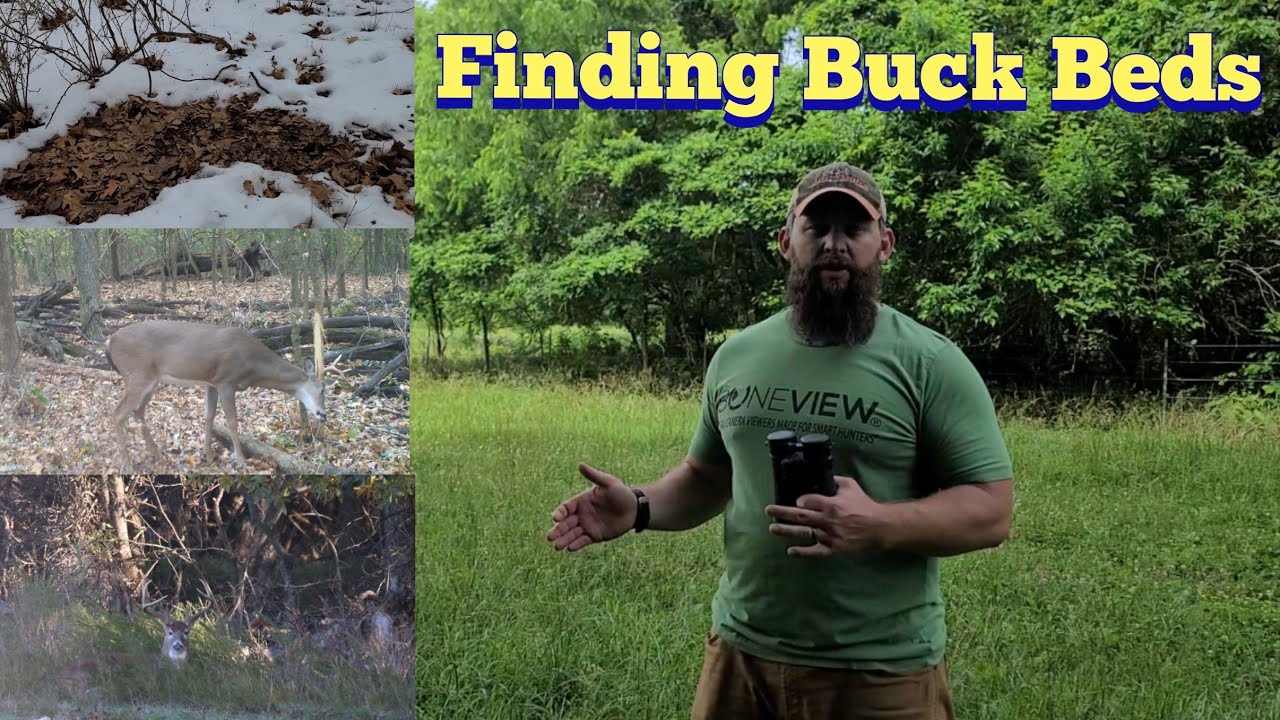 Buck Beds | KOAM Outdoors Strategies - YouTube